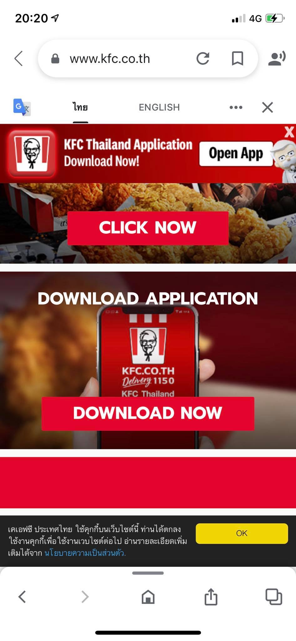 Alain Solohery Design Principles